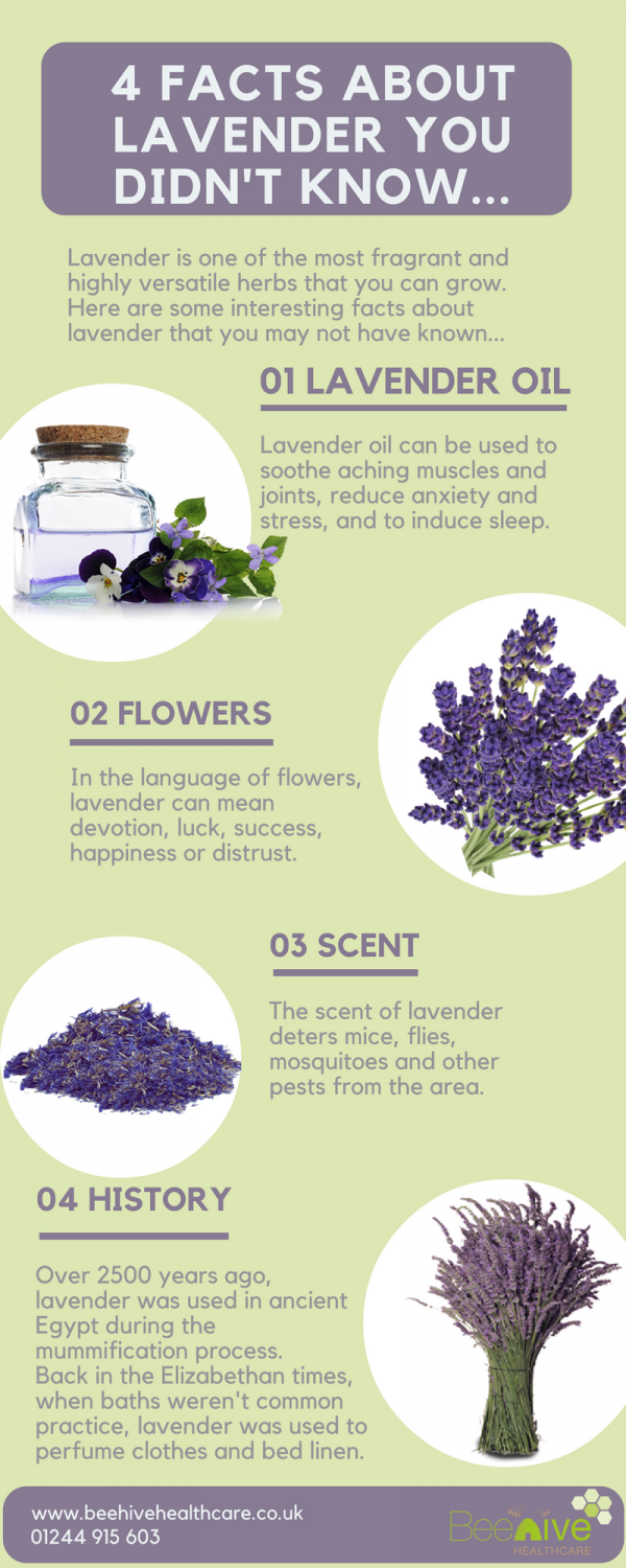 Beehive Healthcare | psychotherapy hypnotherapy reflexology Chester | 4 ...